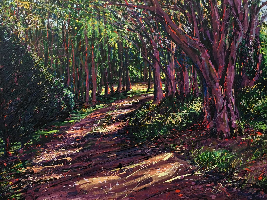 Pathway down to the riding arena – KAB Gallery
