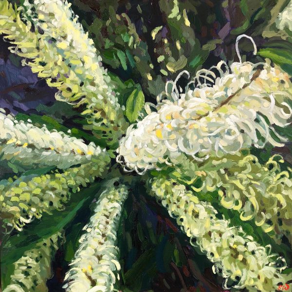 Capturing the Light; Sarah Waghorn – KAB Gallery