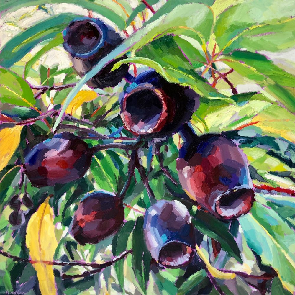 Violet Gum Nuts – KAB Gallery