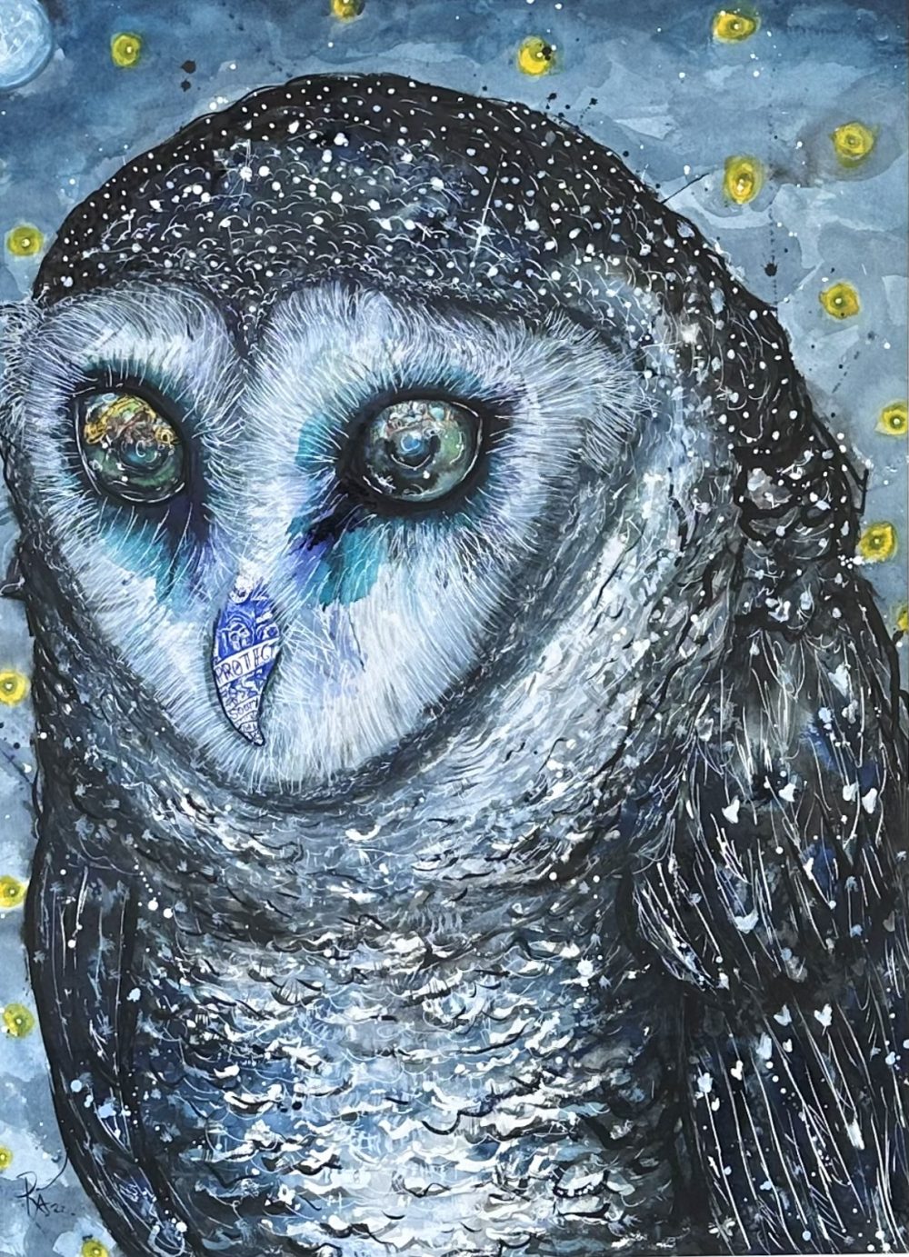 Sooty Owl – KAB Gallery