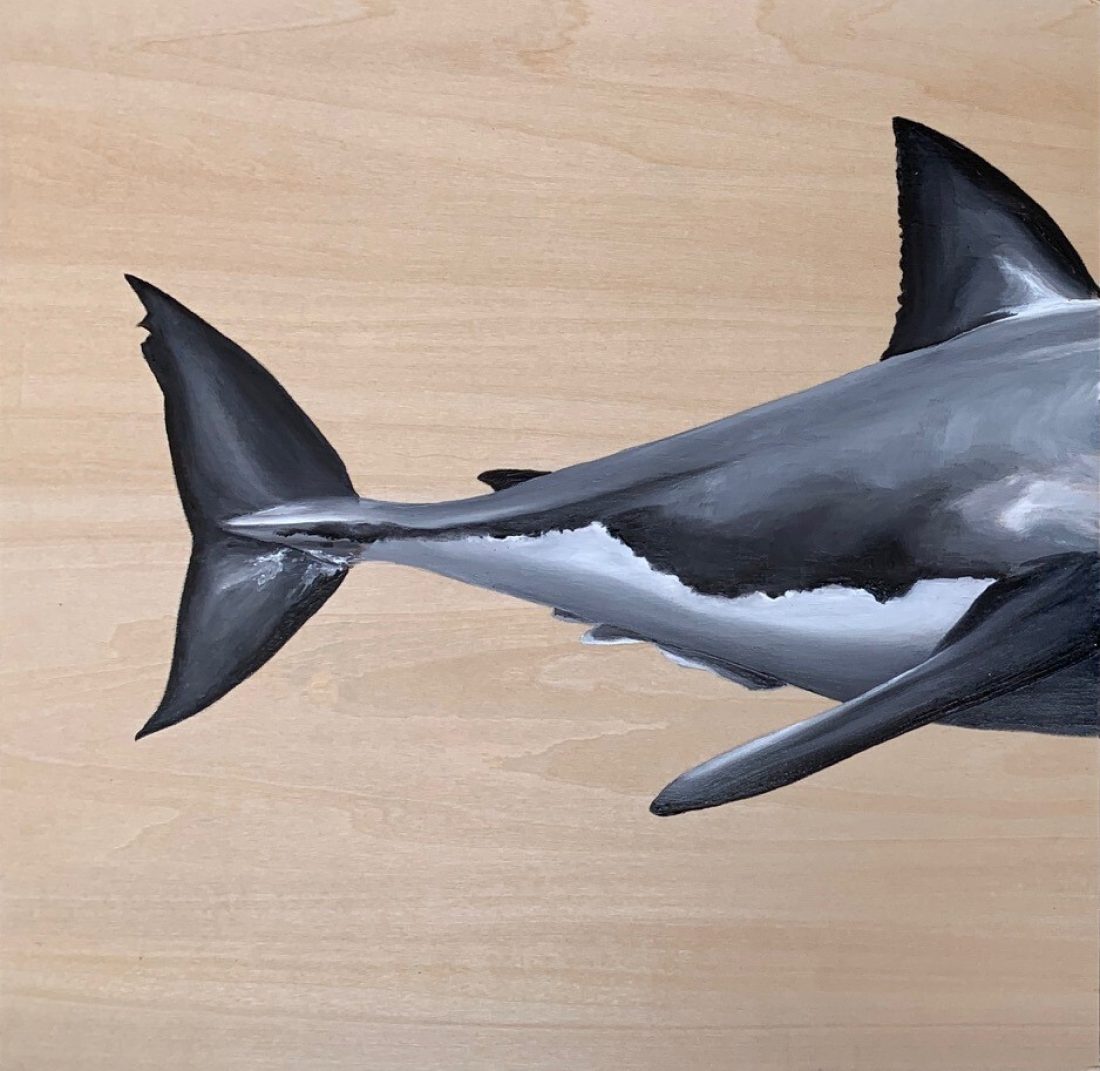 Perfect White – Diptych – KAB Gallery