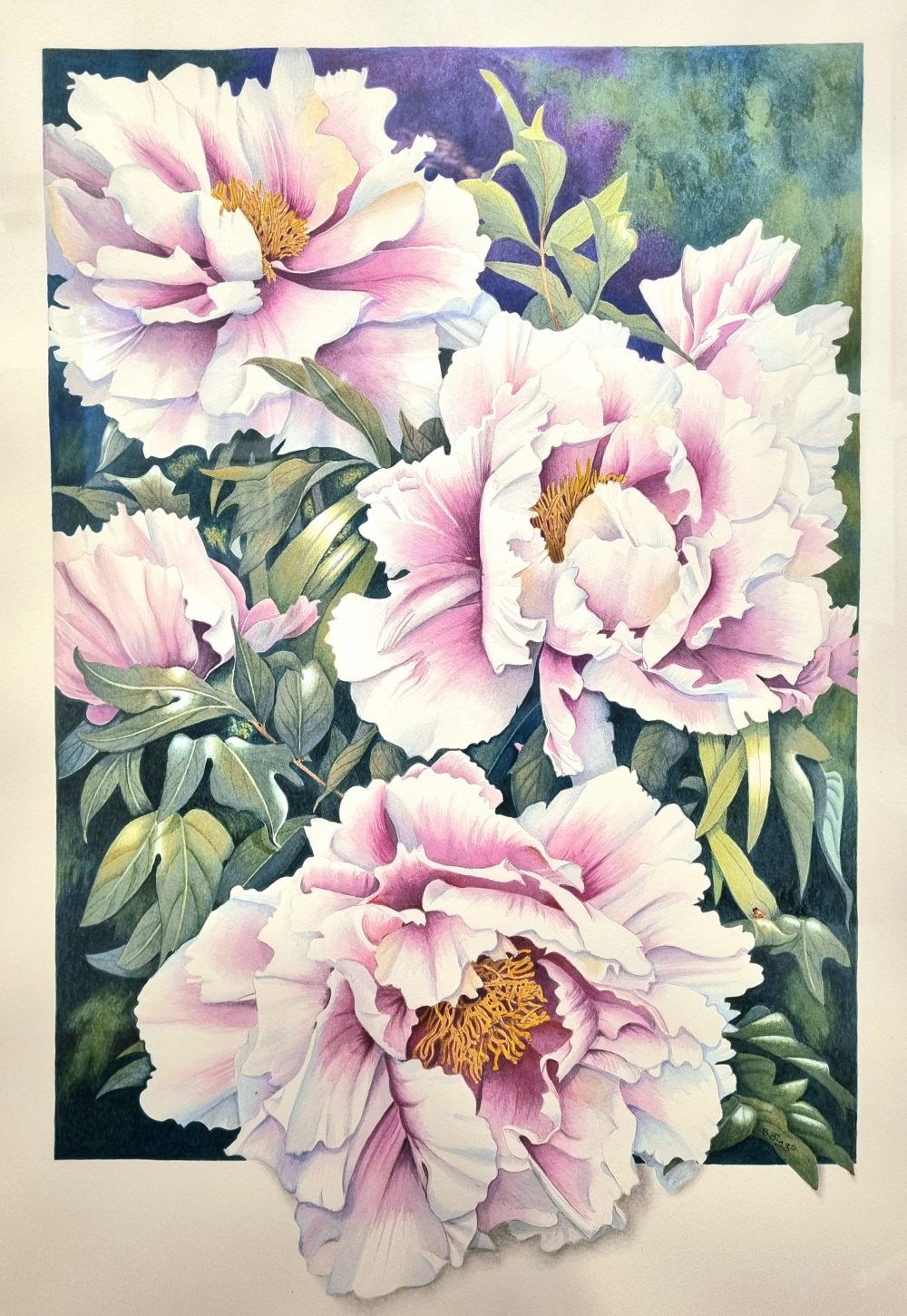 Antique Peonies – KAB Gallery