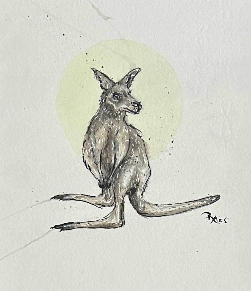 Drew the Kangaroo – KAB Gallery