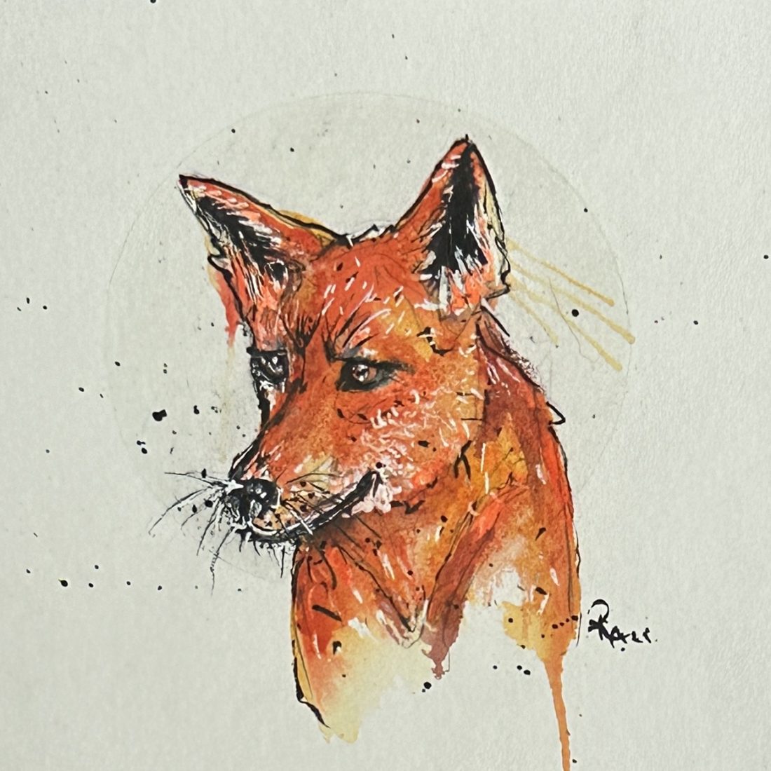 Ringo the Dingo – KAB Gallery