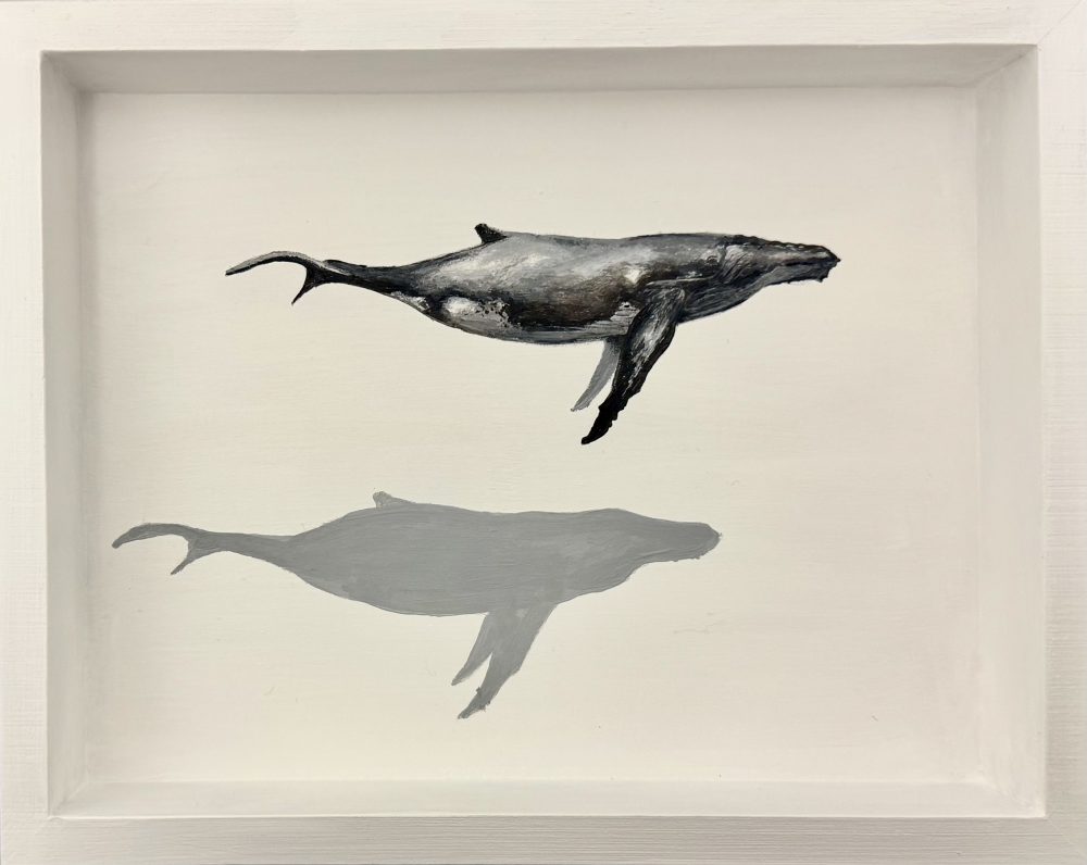 Ocean Shadow Box Feat. Whale – KAB Gallery