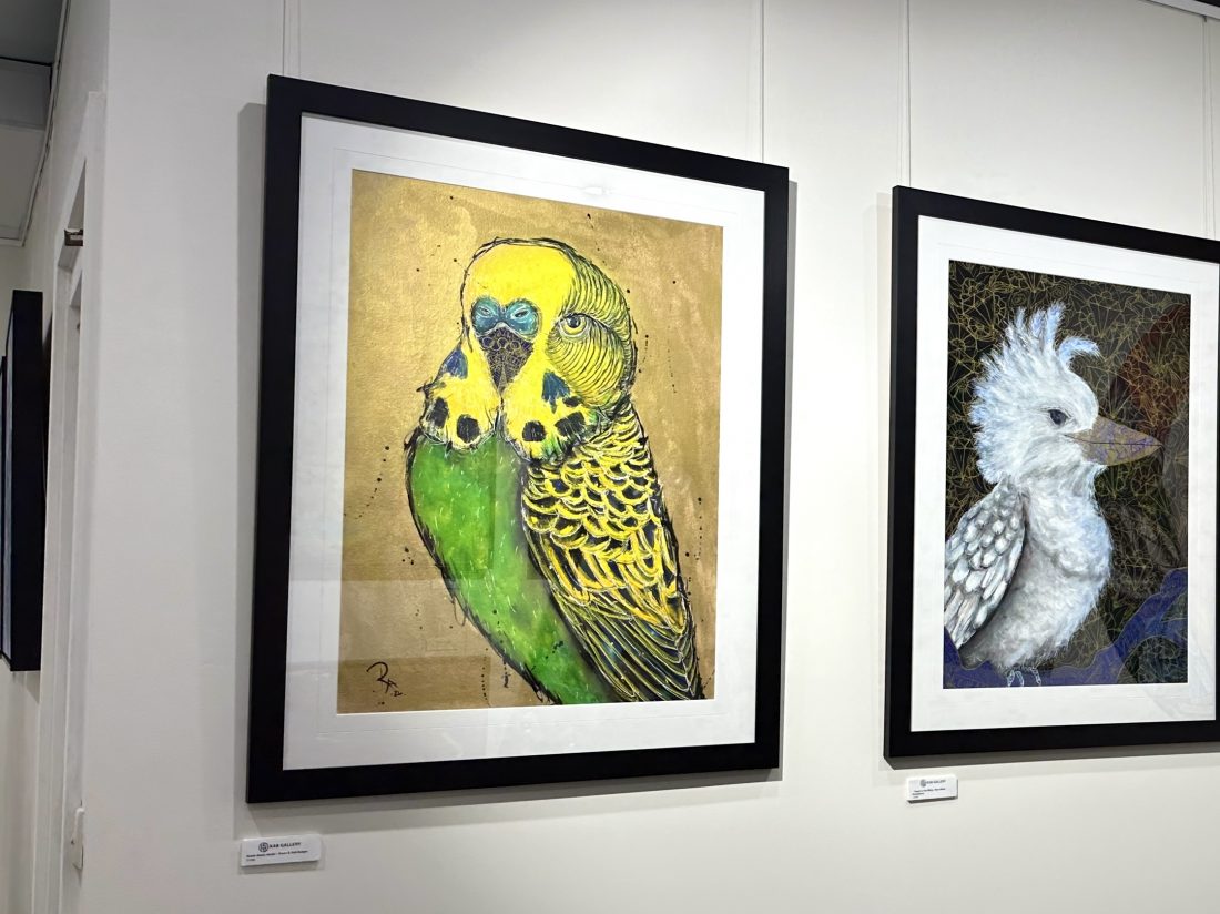 Aussie Aussie Aussie – Green & Gold Budgie – KAB Gallery